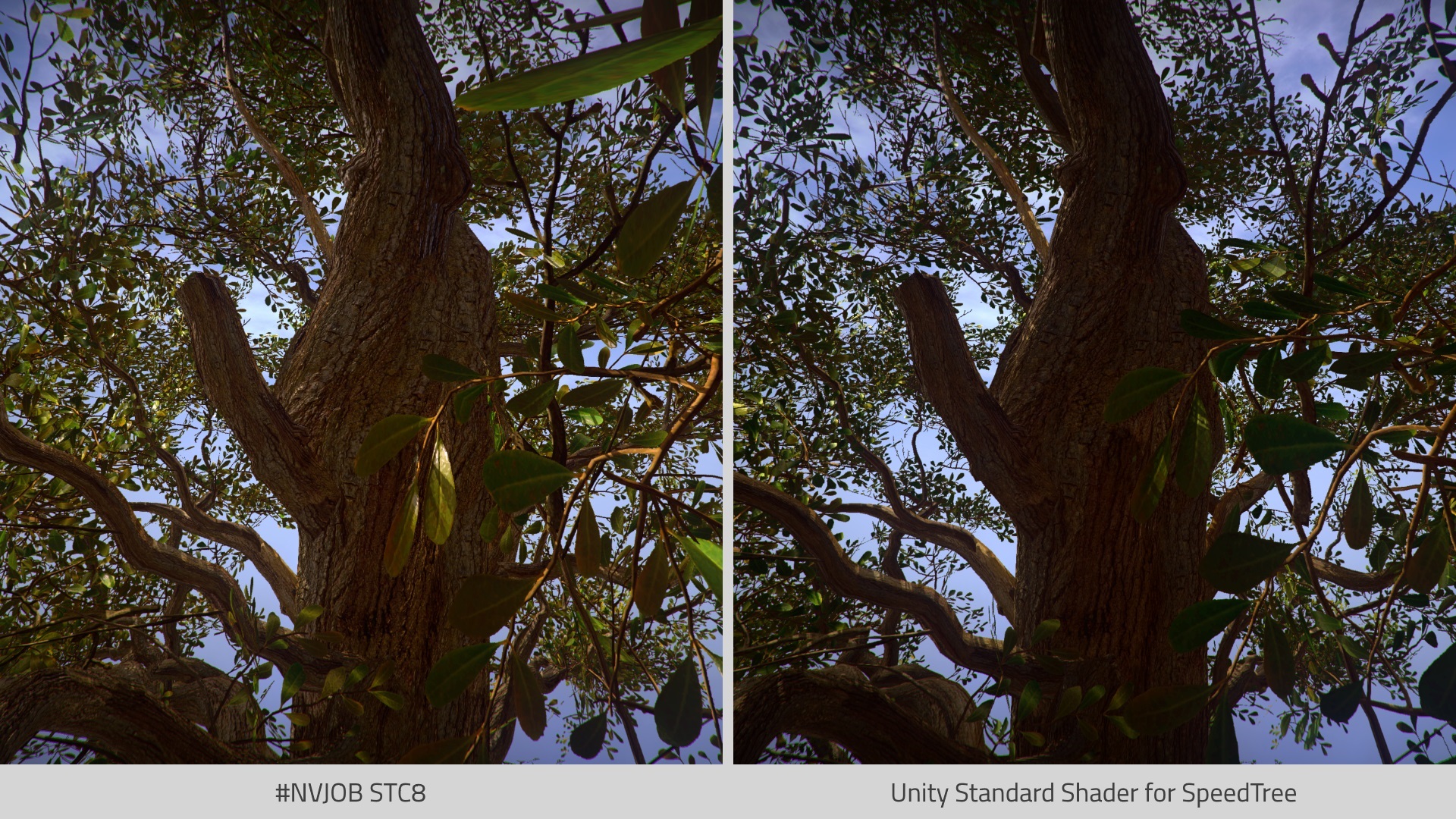 Stc8 Advanced Shader For Unity Speedtree 8 Free Unity Asset Nicholas Veselov Unity Developer 6506